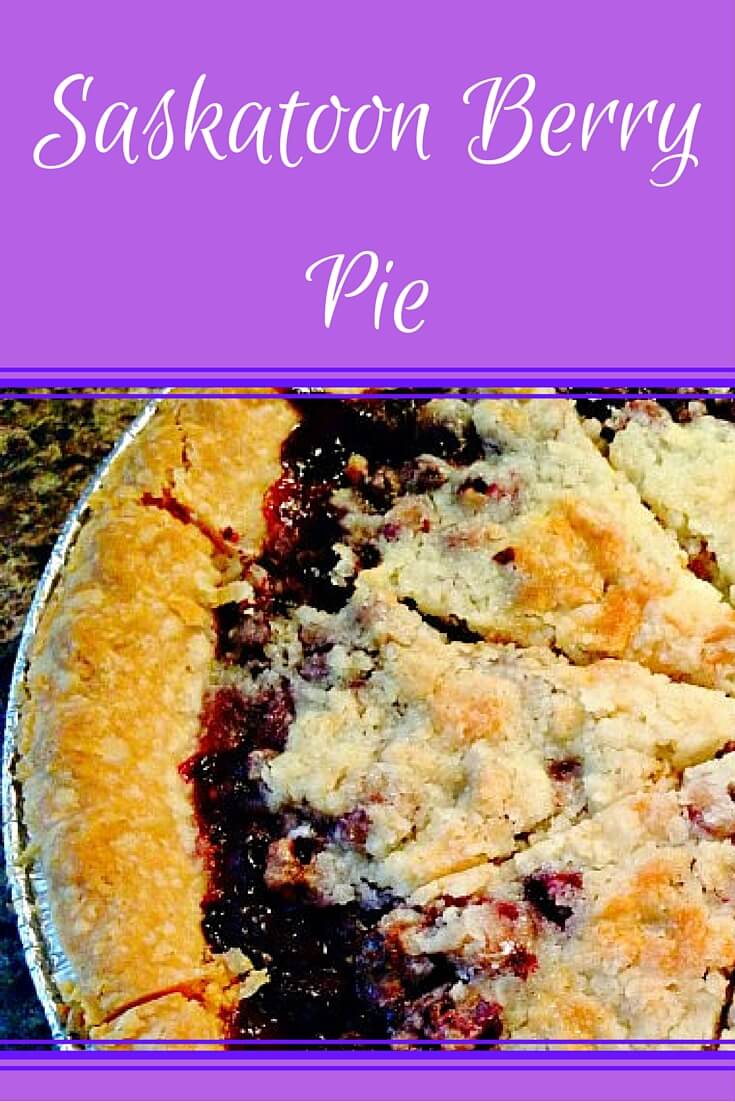 Saskatoon Berry Pie - Merry About Town