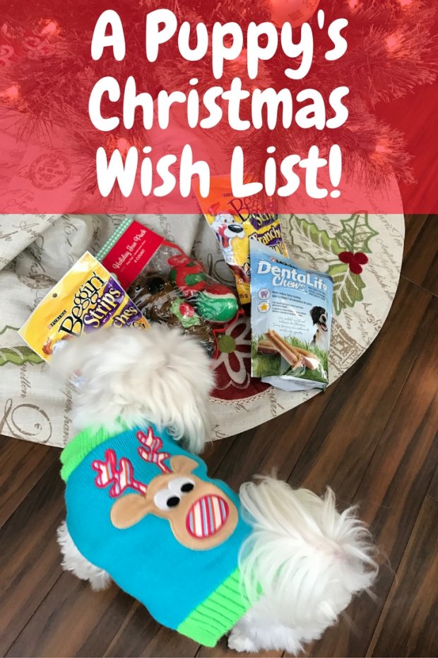 Gifts For Dogs A Puppy Wish List Merry About Town Gifts For Dogs A Puppy Wish List Merry About Town