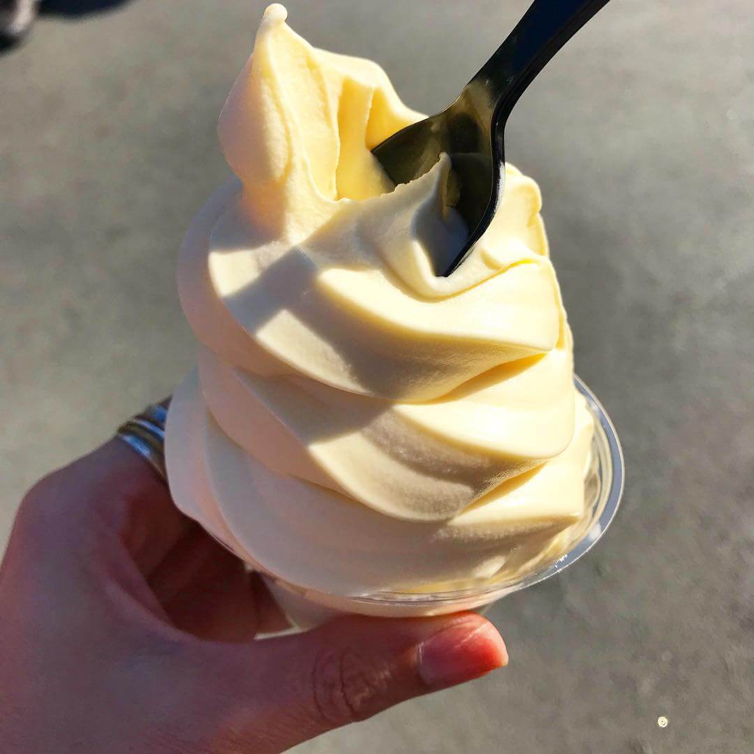 Walt Disney World Food Picks and Pans - Merry About Town