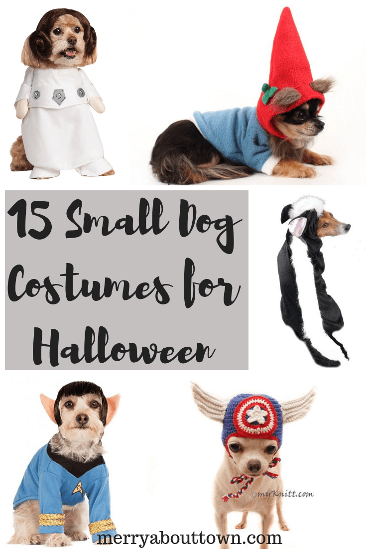 15 Small Dog Costumes for Halloween - Merry About Town