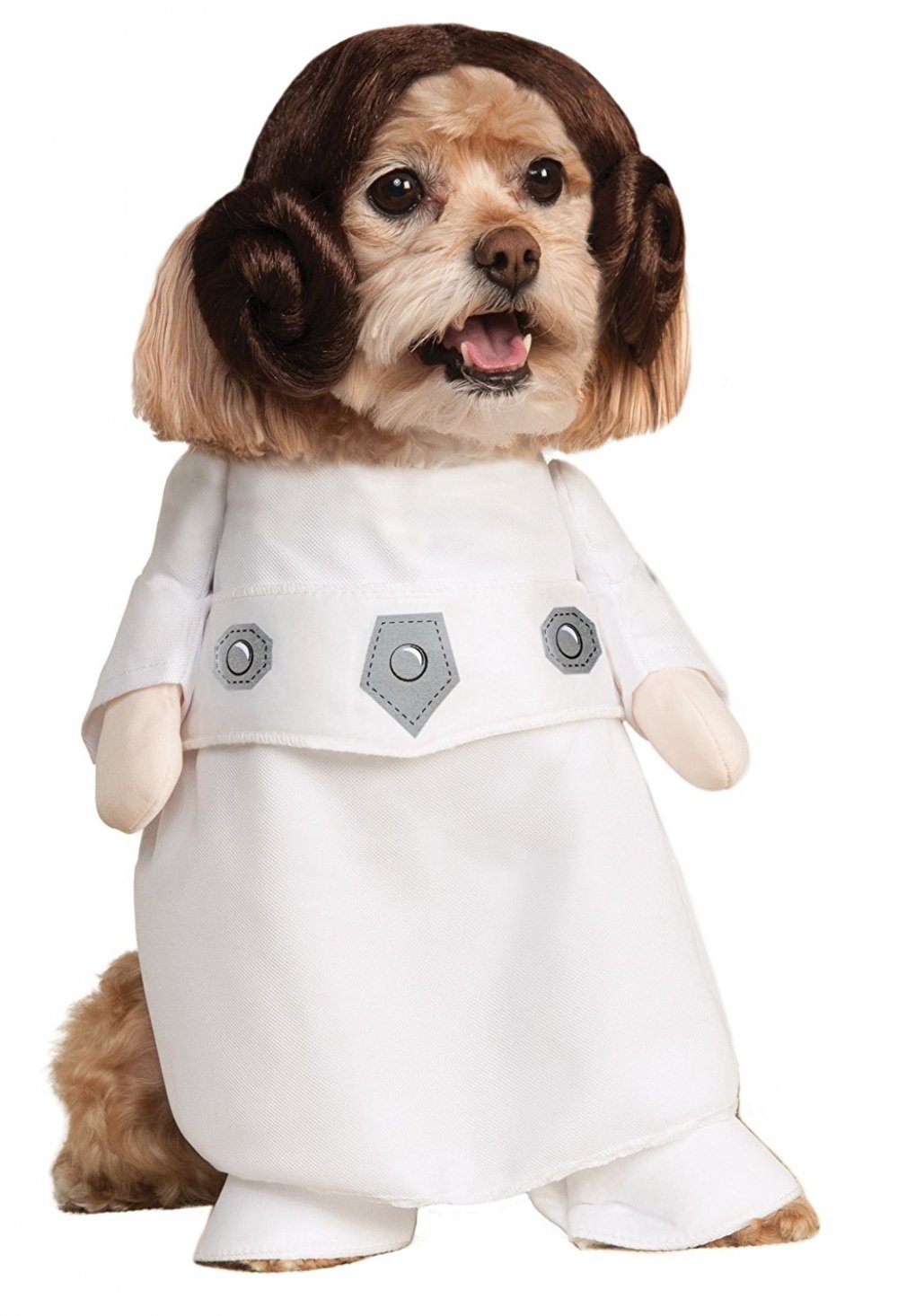 15 Small Dog Costumes for Halloween - Merry About Town