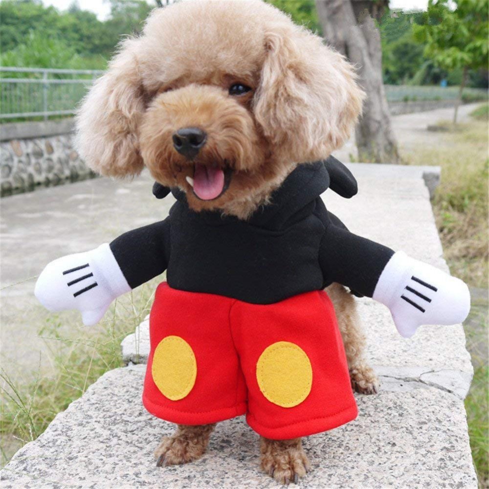 15 Small Dog Costumes for Halloween - Merry About Town